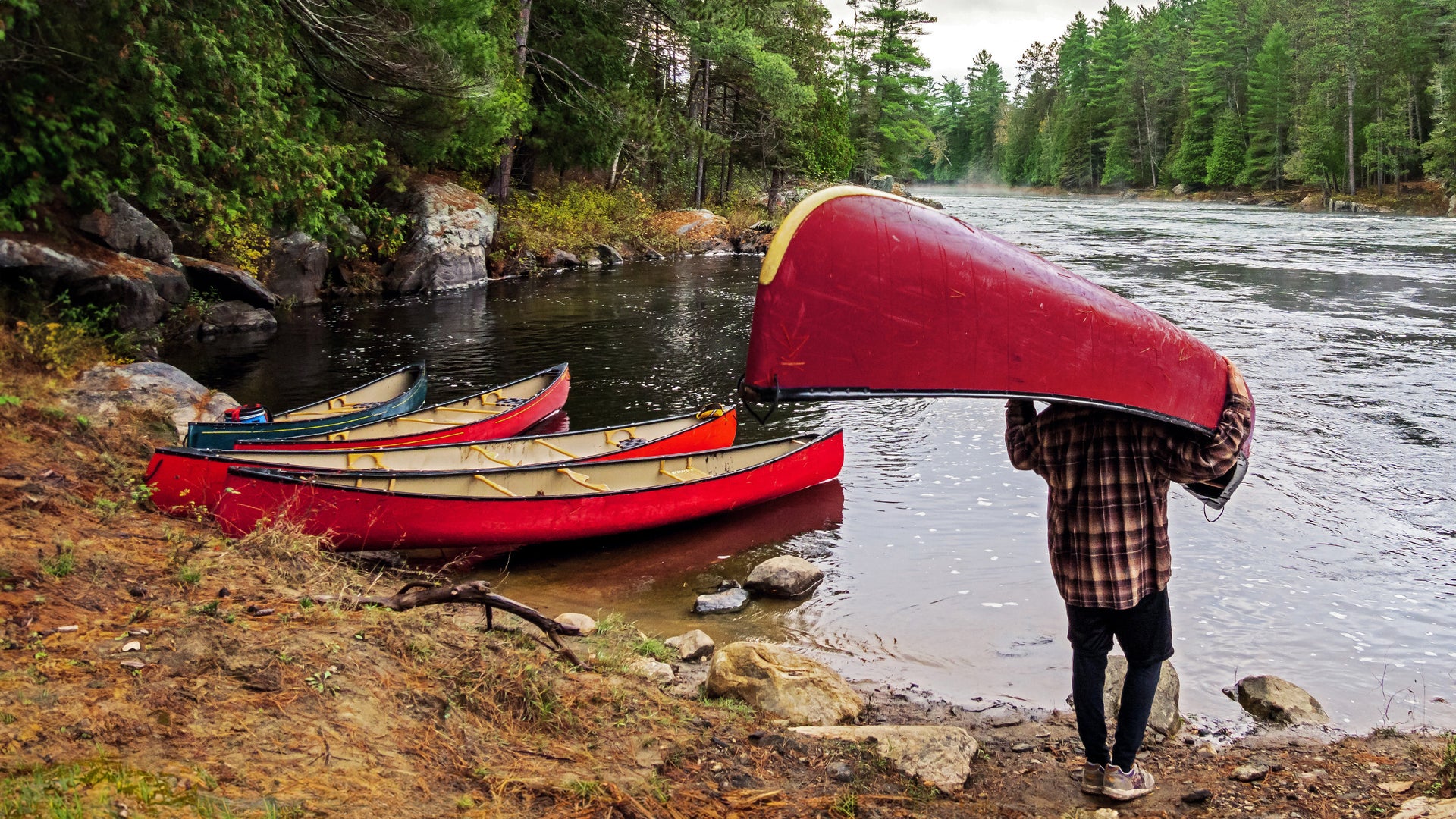 The Felt Store Canada | Shop Online Craft, Wool & Industrial Felt ...